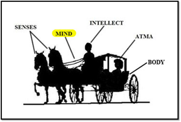 Ideals and Values/The Science of Mind and Sense Organs - Hindupedia ...